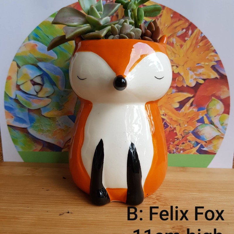 SucculentSparks - Etsy Australia