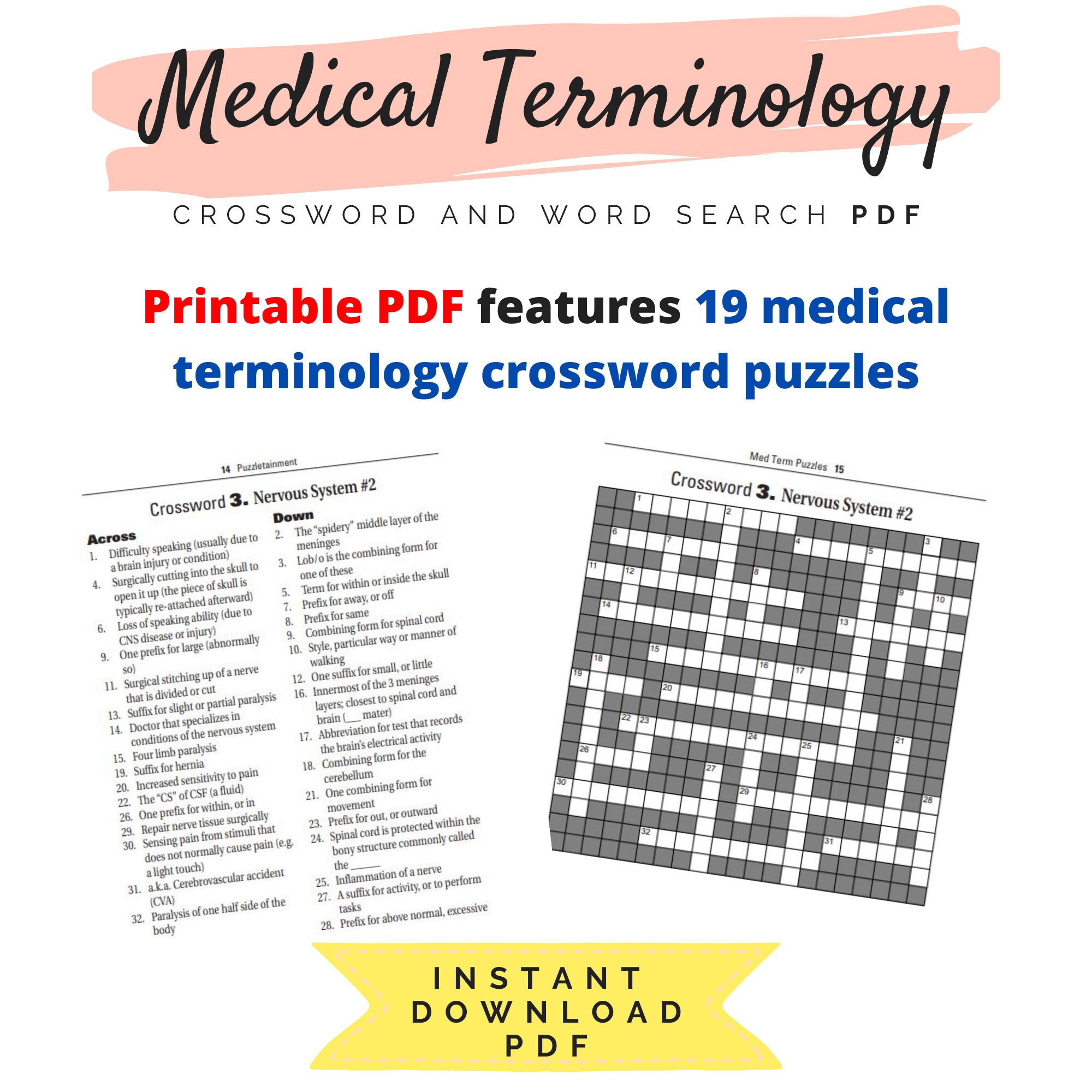Fun Medical Terminology Crossword and Medical Terminology Word Search ...