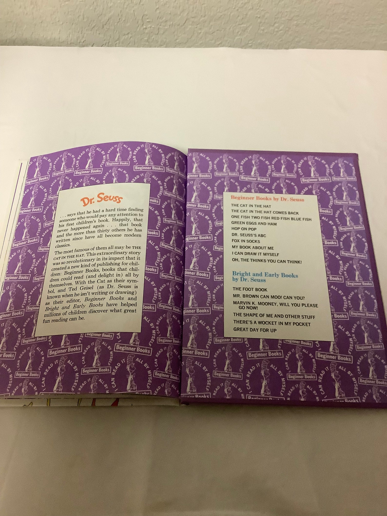 Lilly’s Big Day Hard Cover Children’s Book by Kevin Henkes Greenwillow ...