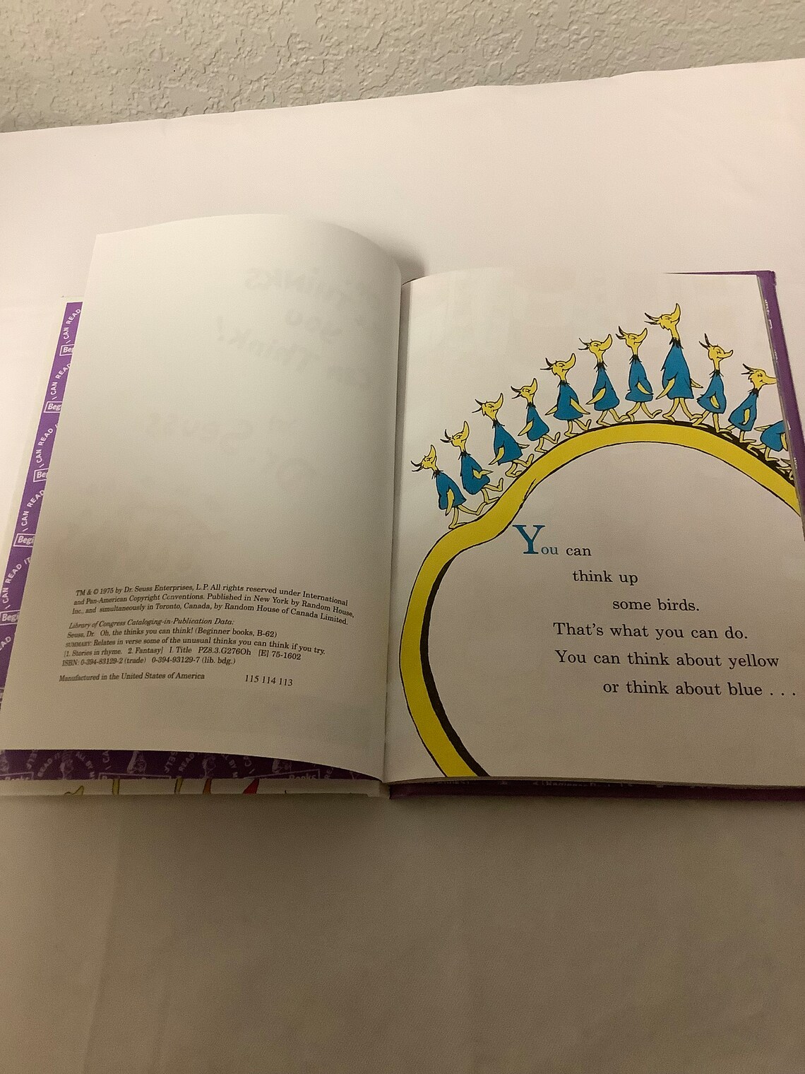 Lilly’s Big Day Hard Cover Children’s Book by Kevin Henkes Greenwillow ...
