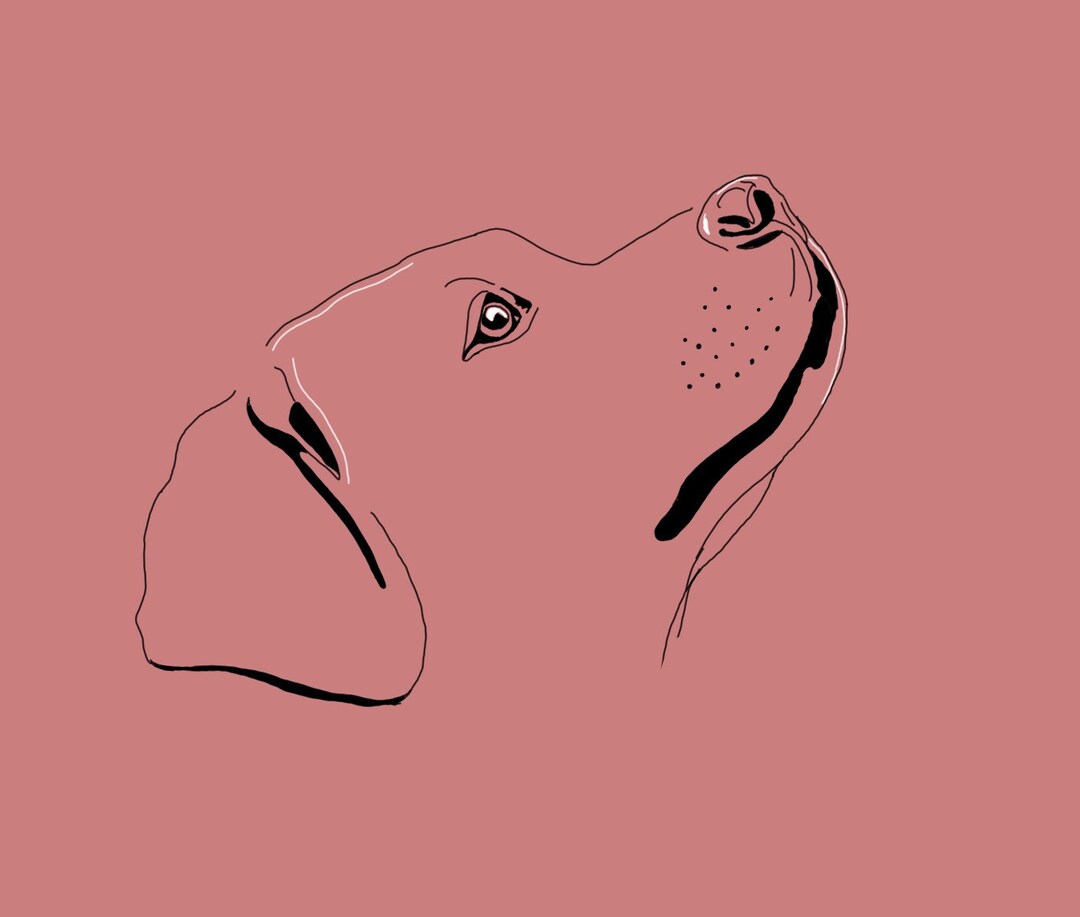 Labrador Embroidery Pattern *PDF Instant Download* - Etsy