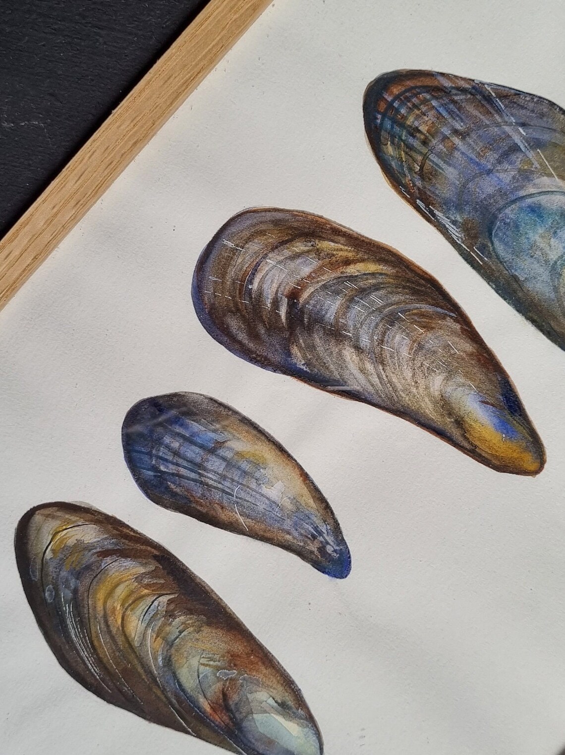 Schelpen Aquarel , Schelpen Schilderij , Kustkunst, Wanddecoratie ...