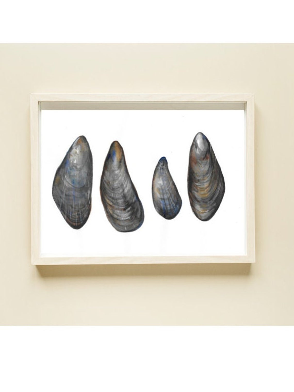 Schelpen Aquarel , Schelpen Schilderij , Kustkunst, Wanddecoratie ...