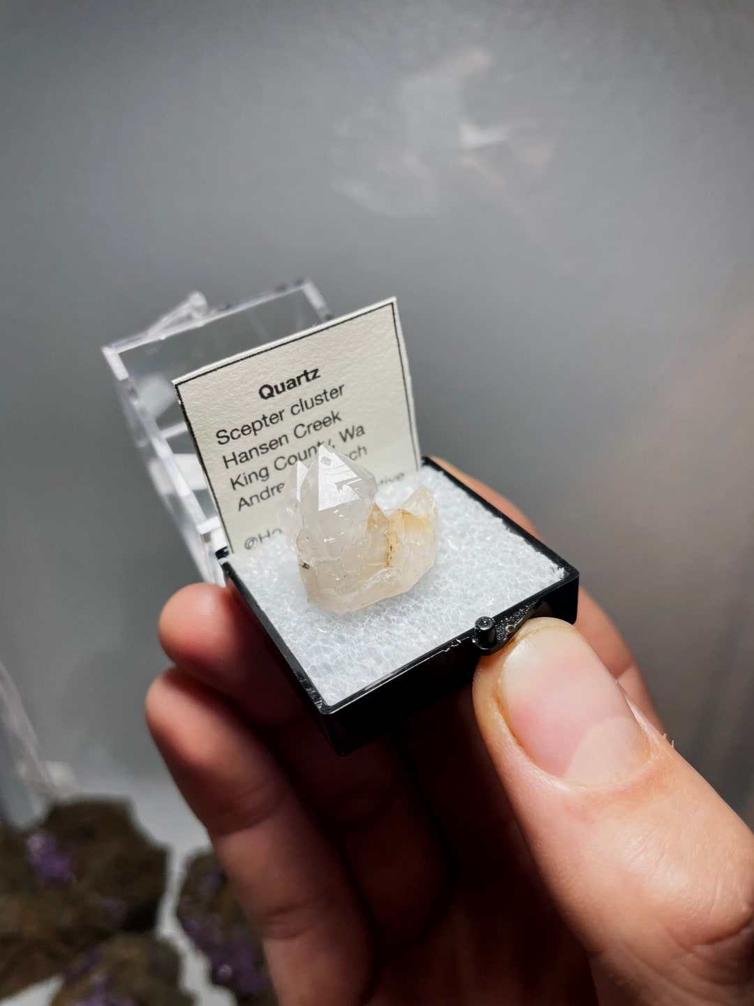 Washington Quartz Cluster W/scepter - Etsy