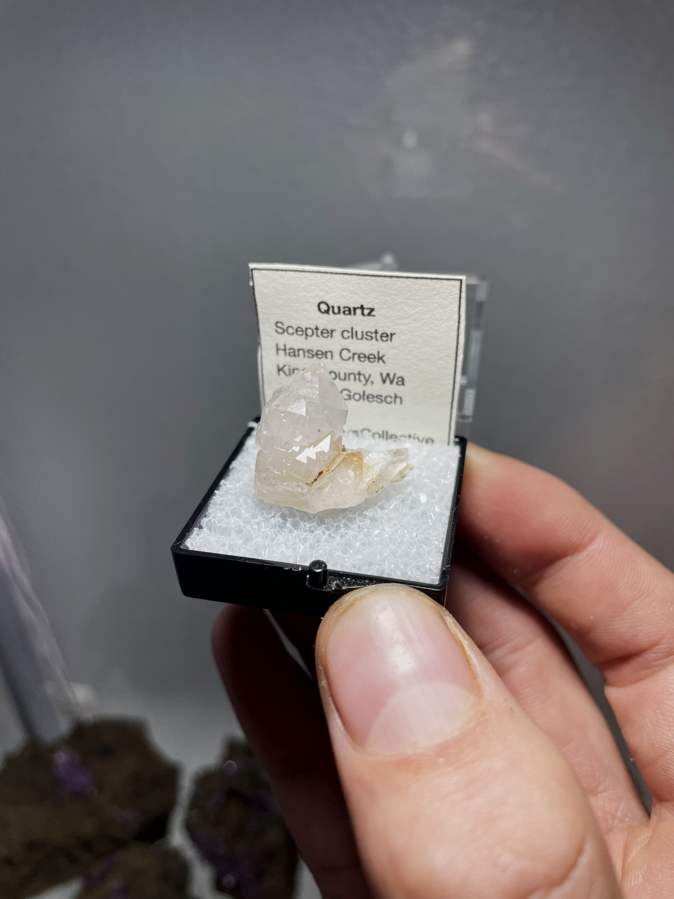 Washington Quartz Cluster W/scepter - Etsy
