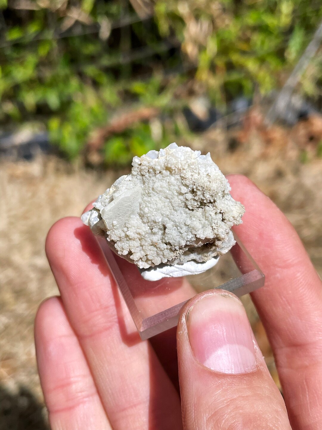 Calcite Blade With Miniature Poker Chip Calcites - Etsy