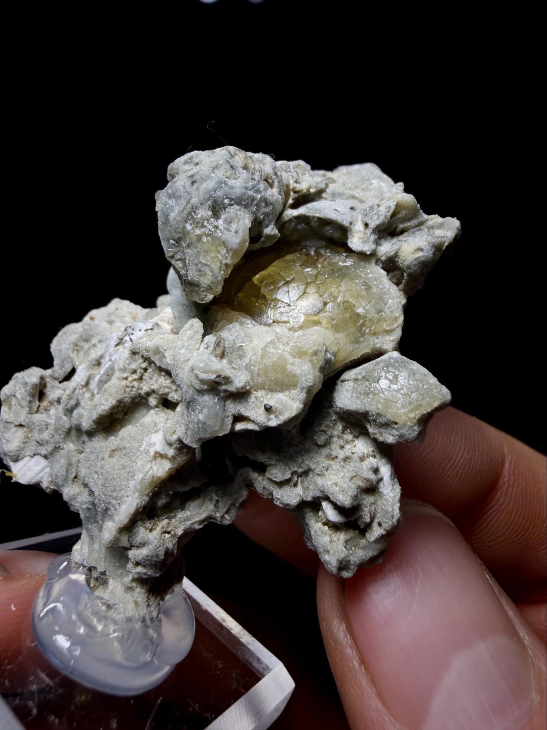 Miniature Calcite Clam in Matrix - Etsy