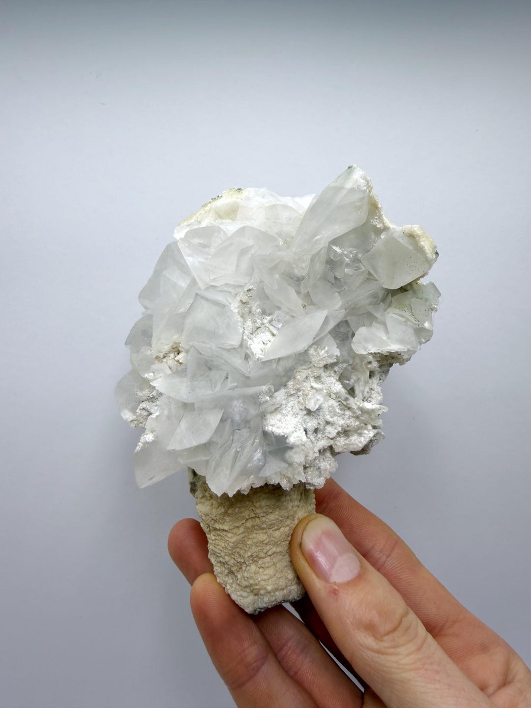 WA State Calcite/aragonite Pseudomorph - Etsy