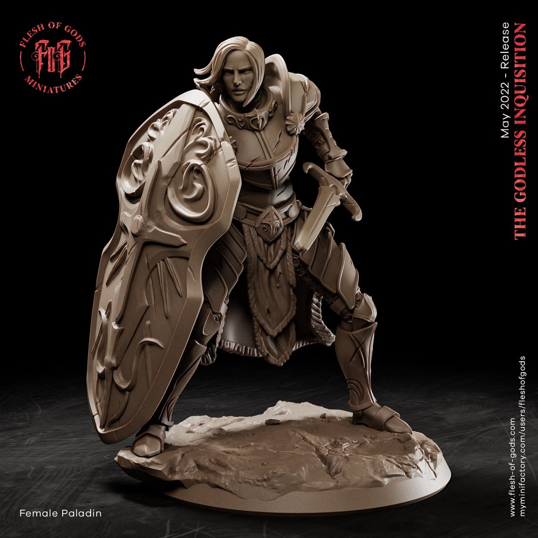 Paladin Miniatur | Kleriker | Tabletop | RPG | Pathfinder | D&D | Flesh ...