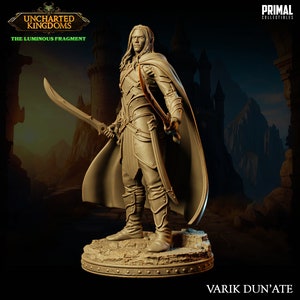 Dark Elf Warrior Miniatur | Fighter Varik Dun Ate | Tabletop Spiele ...