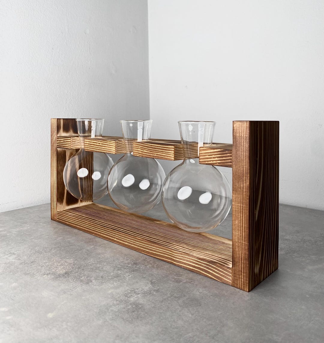 Hydroponic Bulb Vases | Desk Plant Terrarium Bulbs | Minimalist ...