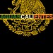Aguascalientes Escudo Mexicano PNG FILE - Etsy