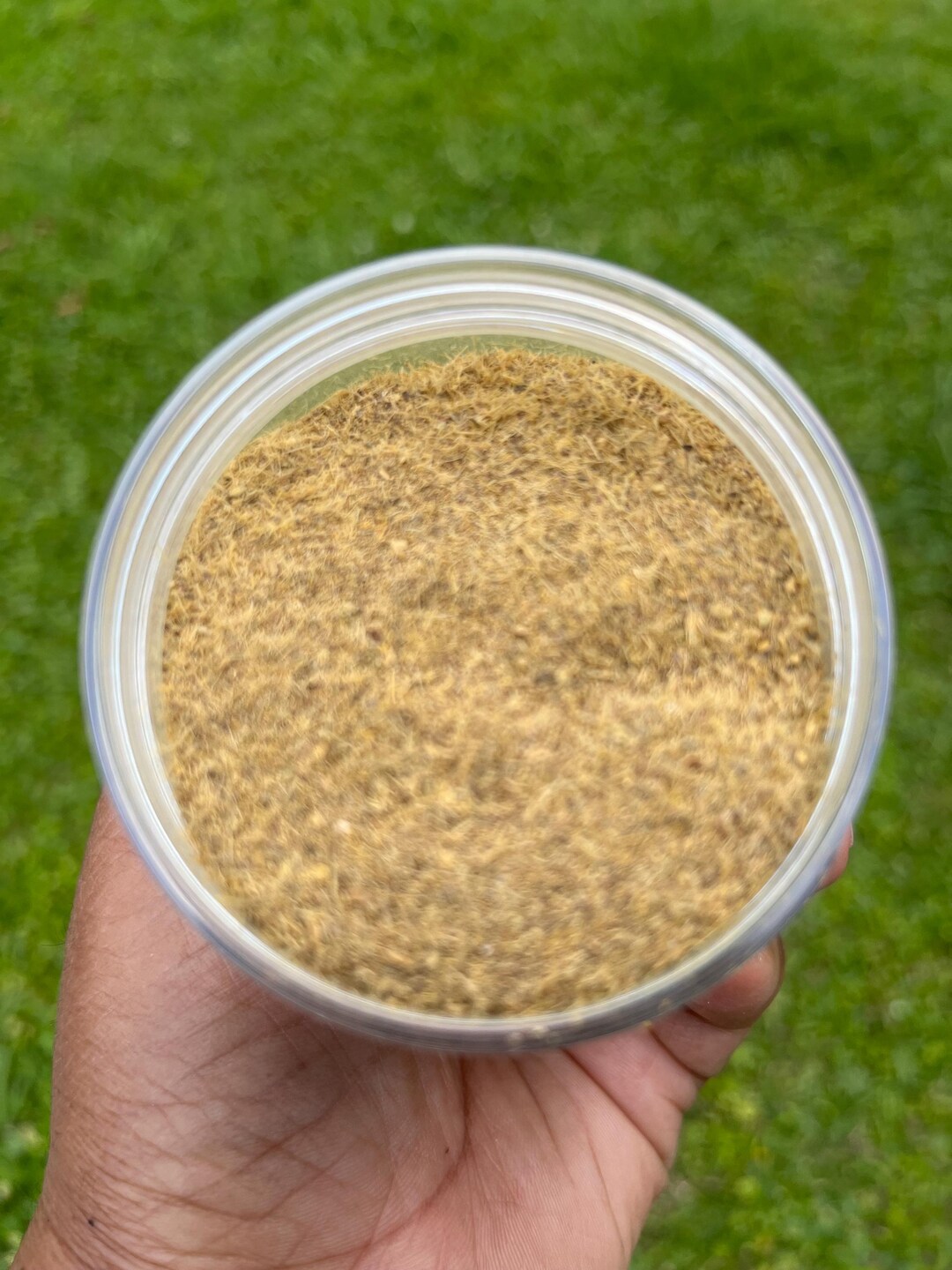 Organic Cascara Sagrada Bark Powder - Etsy