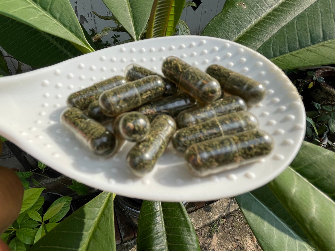 Organic CERASEE Herb Capsules 50 Mg / Bitter Melon VEGAN Herbal ...