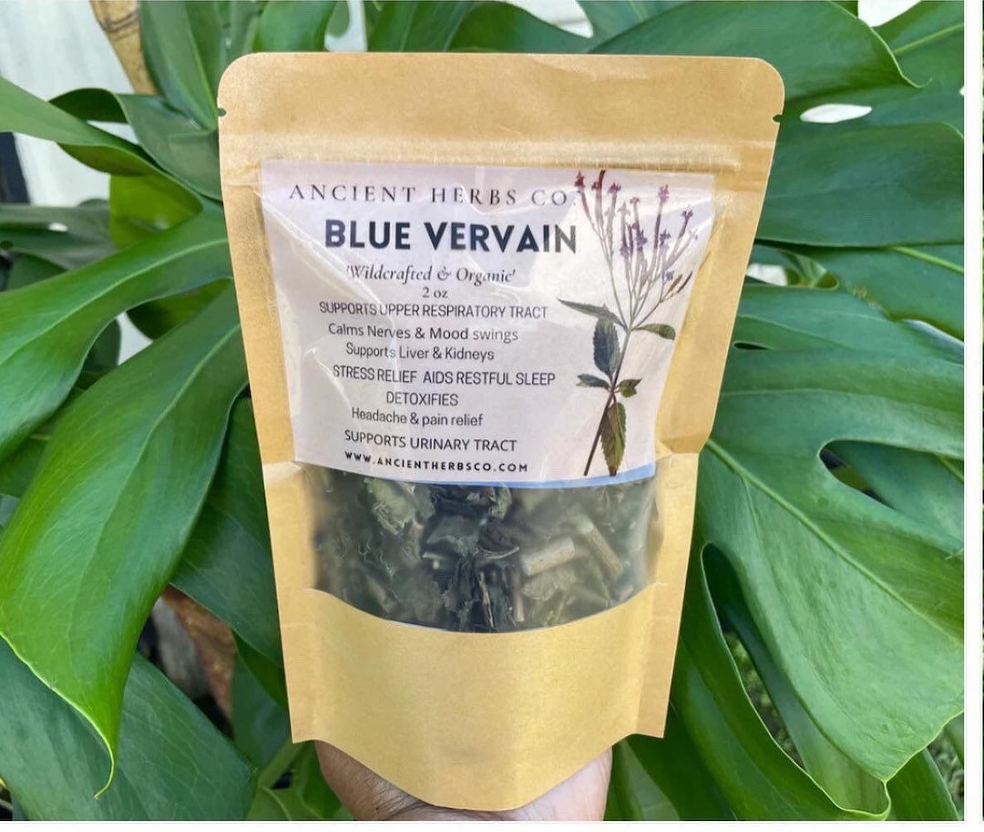 Organic BLUE VERVAIN Vervine Verbena Hasta Florida USA - Etsy