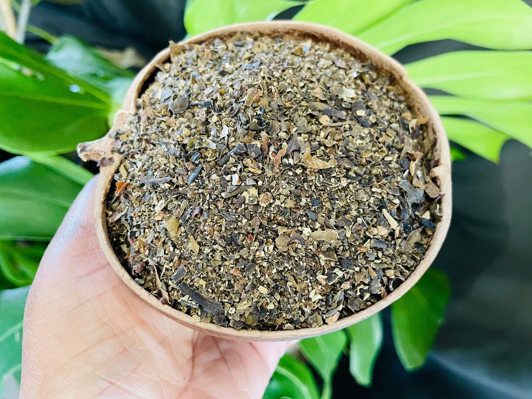 1 Oz Wildcrafted BLADDERWRACK Sea Weed FUCUS VESICULOSUS Natural Herb ...