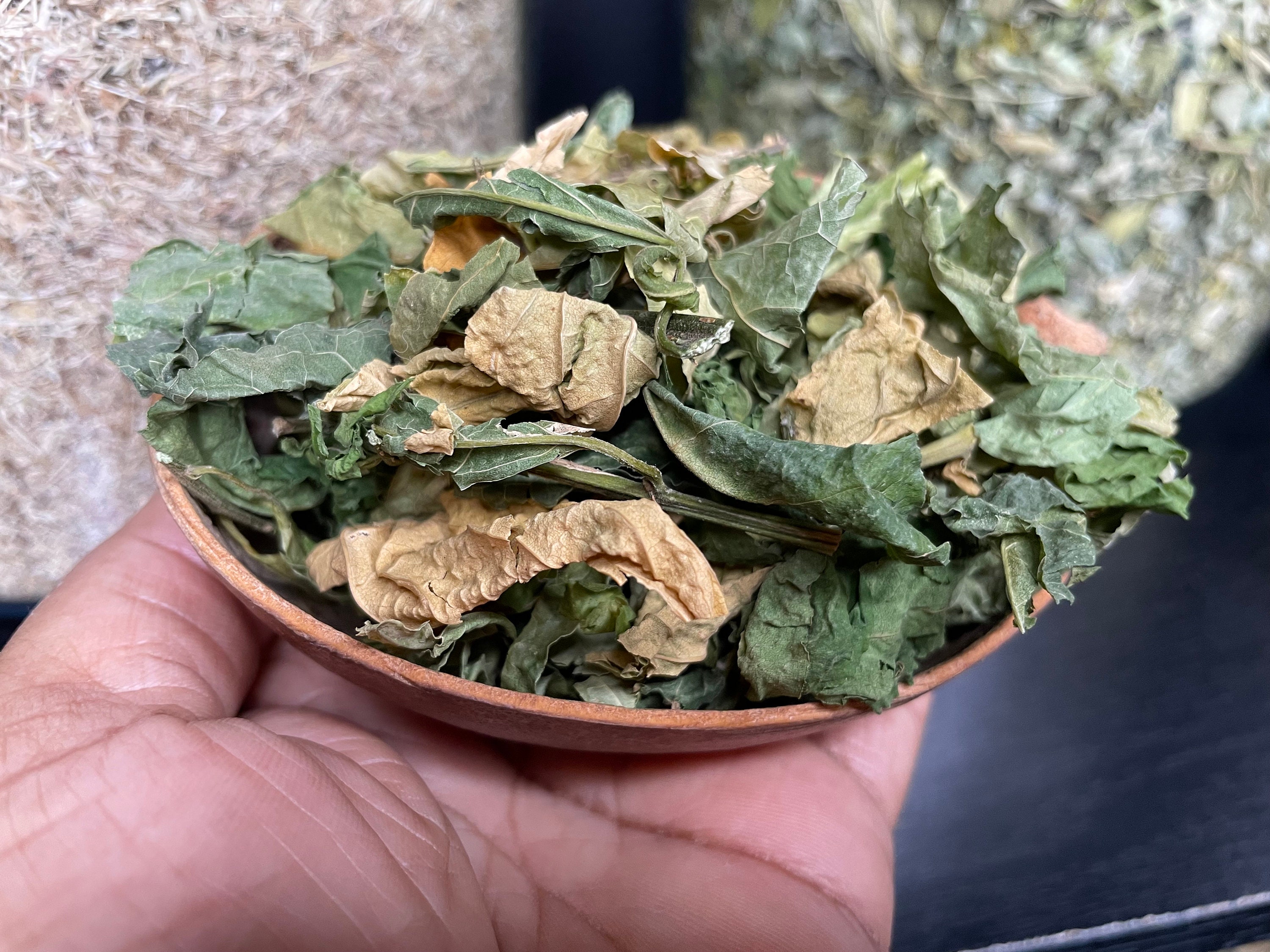 ANAMU Guinea Hen Weed Jamaica Grown Wildcrafted NO CHEMICALS No ...