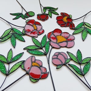 Stained Glass Everlasting Wild Peony Flower Red Color, Paeonia ...