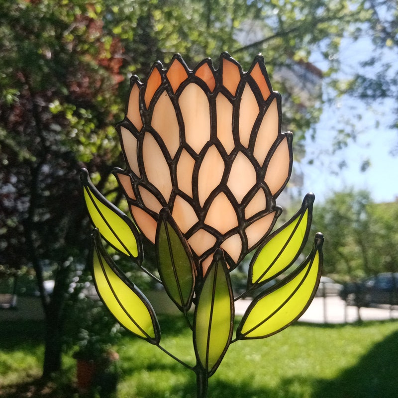 Protea - Etsy