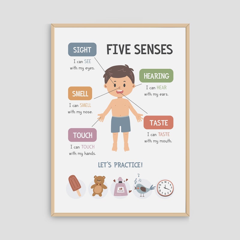Five Senses Poster - Etsy
