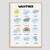 Body Parts Poster Montessori Homeschool Educational Posters for Kids ...