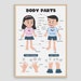 Body Parts Poster: Montessori Homeschool Decor (digital Download) - Etsy