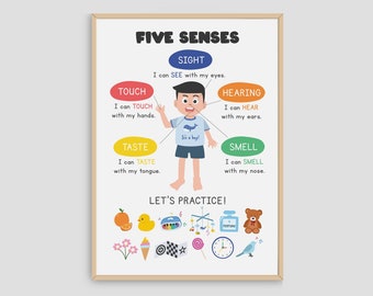 Five Senses Poster, Montessori Homeschool ,educational Poster for Kids ...