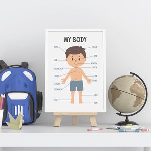 Body Parts Poster: Kids Educational Wall Art (digital Download) - Etsy