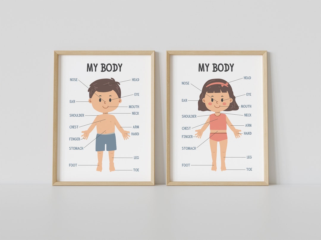 Body Parts Poster, Kids Wall Decor, My Body Printable Wall Art, Toddler ...