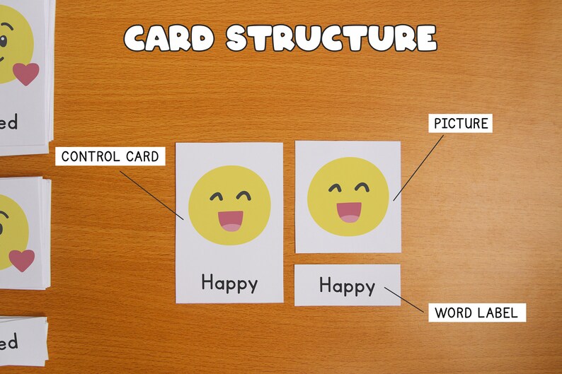 Emotions Flashcards, Feelings Flashcards, Printable Montessori 3-part ...