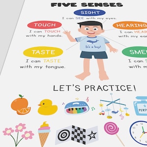 Five Senses Poster Printable Wall Art, Montessori Homeschool ...