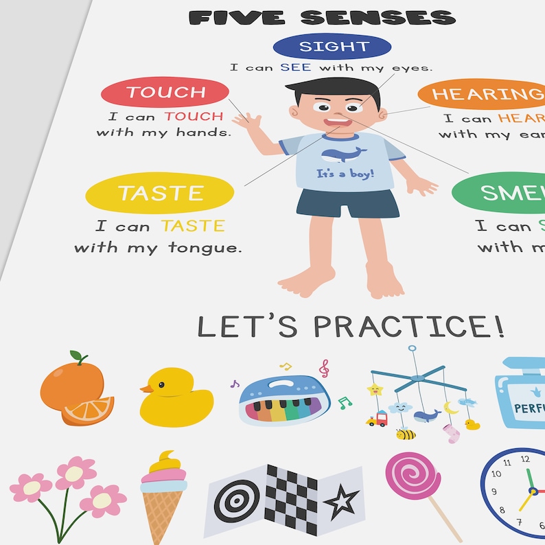 Five Senses Poster: Montessori Homeschool Printable Wall Art (digital ...