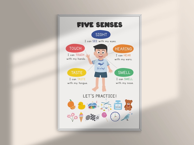 Five Senses Poster: Montessori Homeschool Printable Wall Art (digital ...