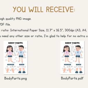 Body Parts Poster Montessori Homeschool Educational Posters for Kids ...