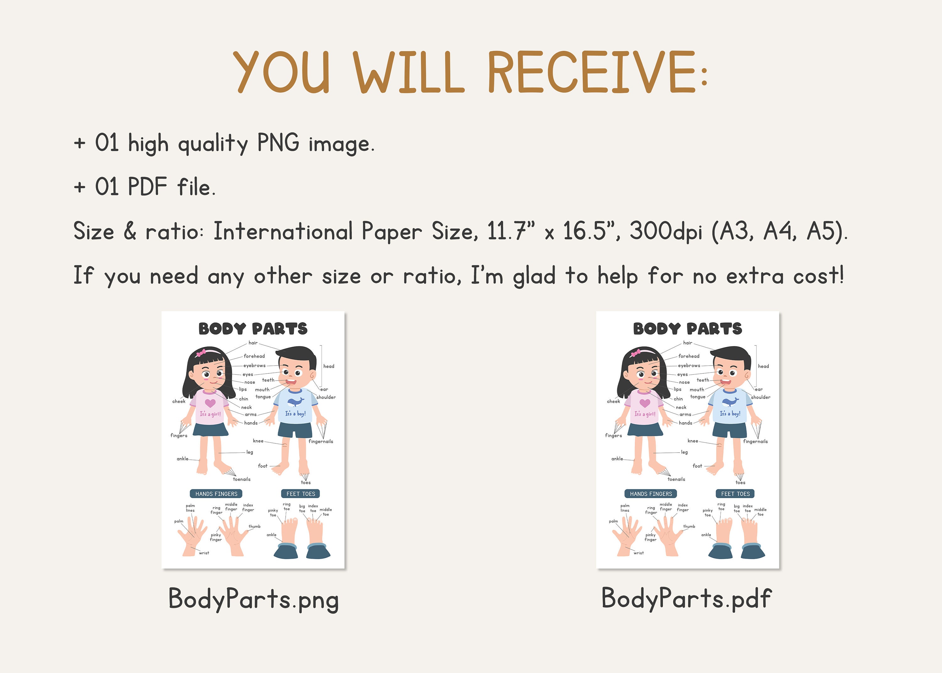 Body Parts Poster Montessori Homeschool Educational Posters for Kids ...