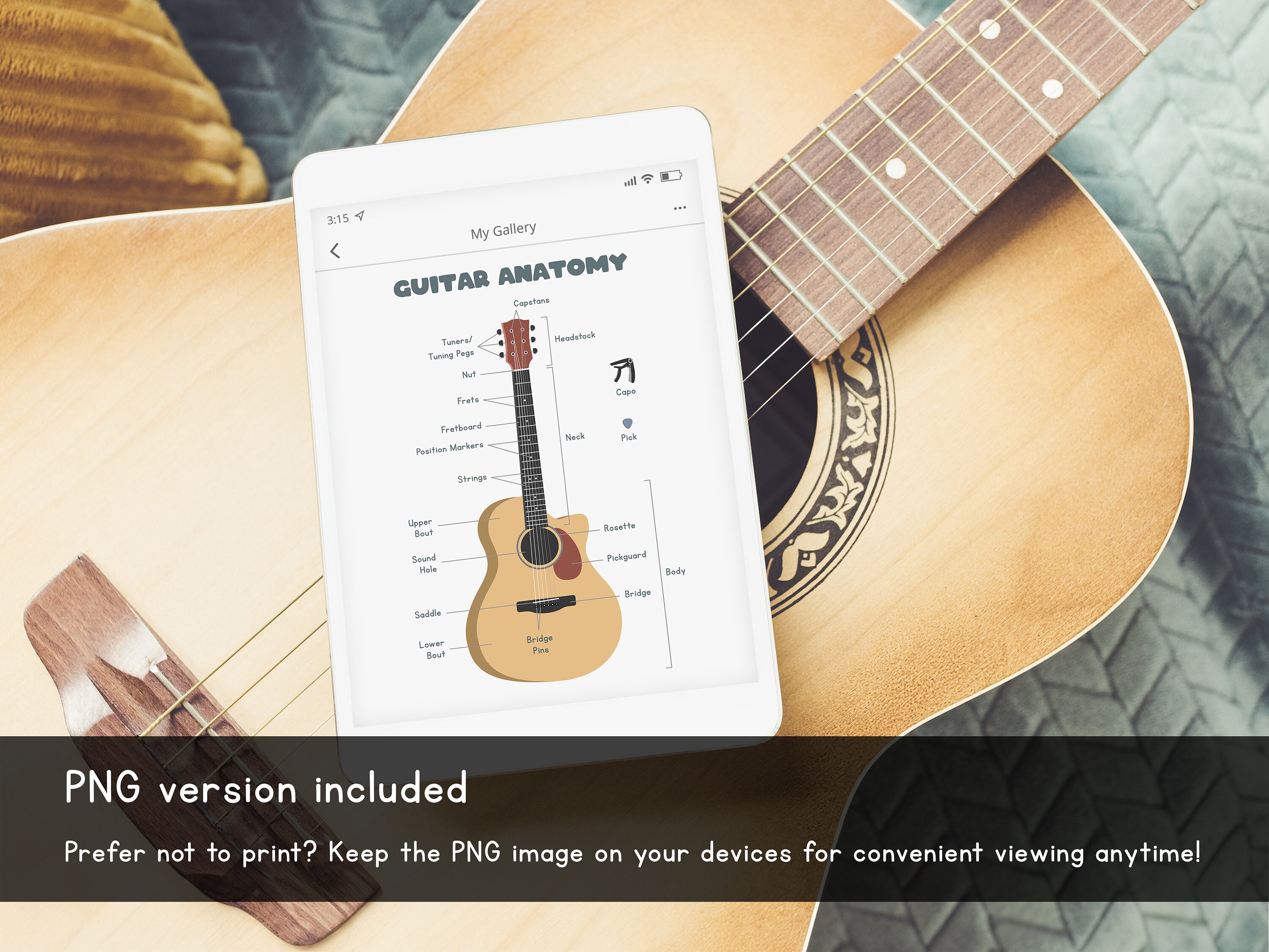 Guitar Anatomy Chart: Music Classroom Decor (PDF) - Etsy