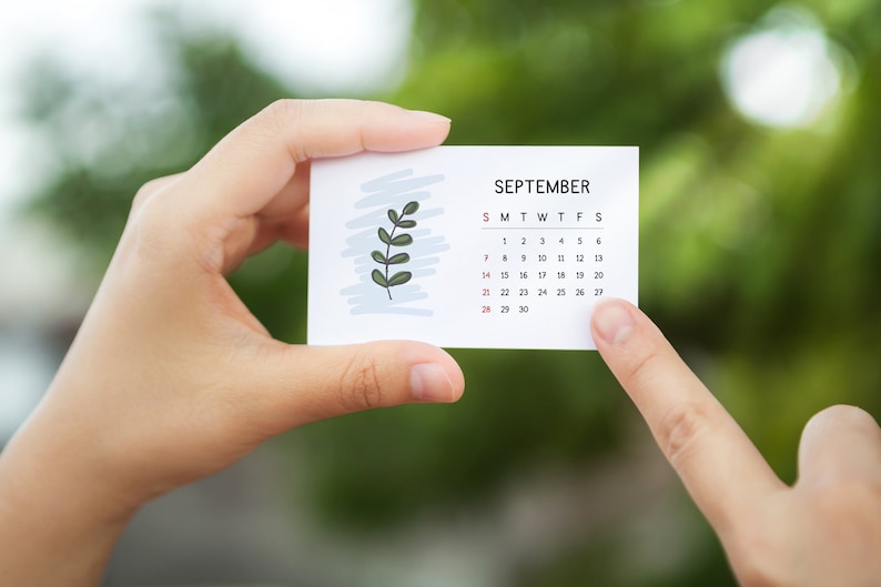 2025 Mini Calendar: Simple Pocket Calendar Cards (printable PDF) - Etsy