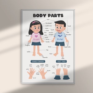 Body Parts Poster Montessori Homeschool Educational Posters for Kids ...