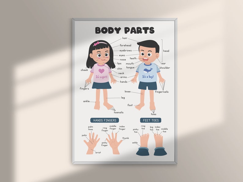Body Parts Poster Montessori Homeschool Educational Posters - Etsy