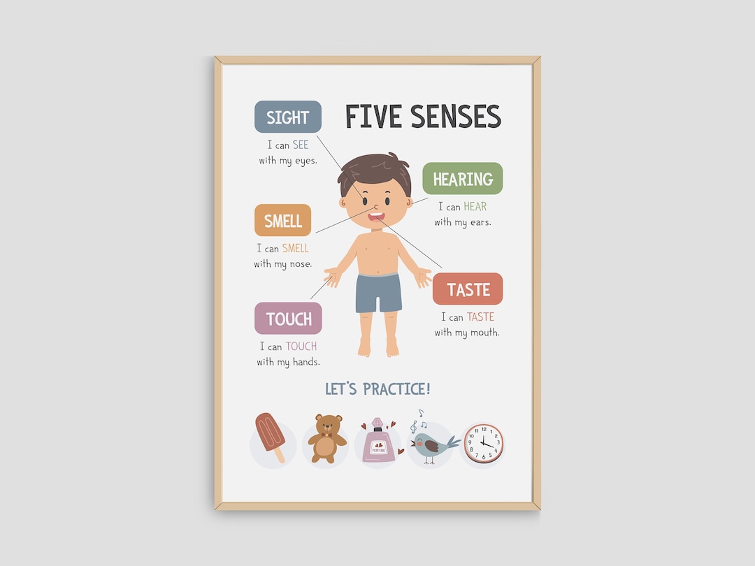 Five Senses Poster, Kids Classroom Decor Wall Art, 5 Senses Printable ...