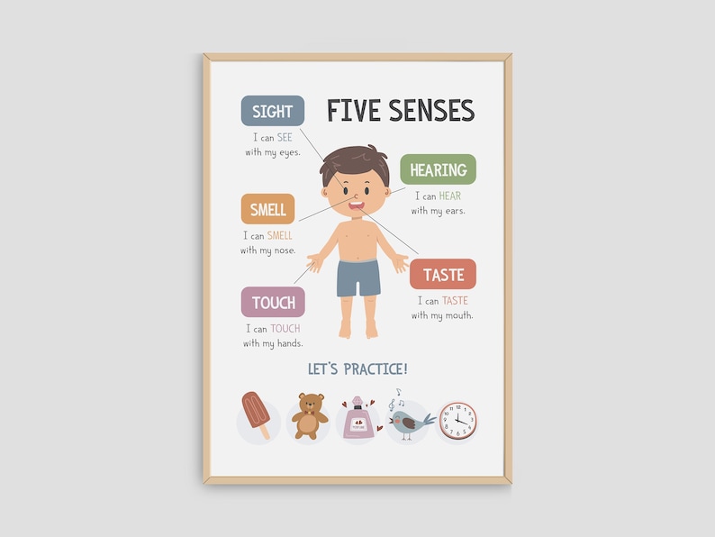 Five Senses Poster, Kids Classroom Decor Wall Art, 5 Senses Printable ...