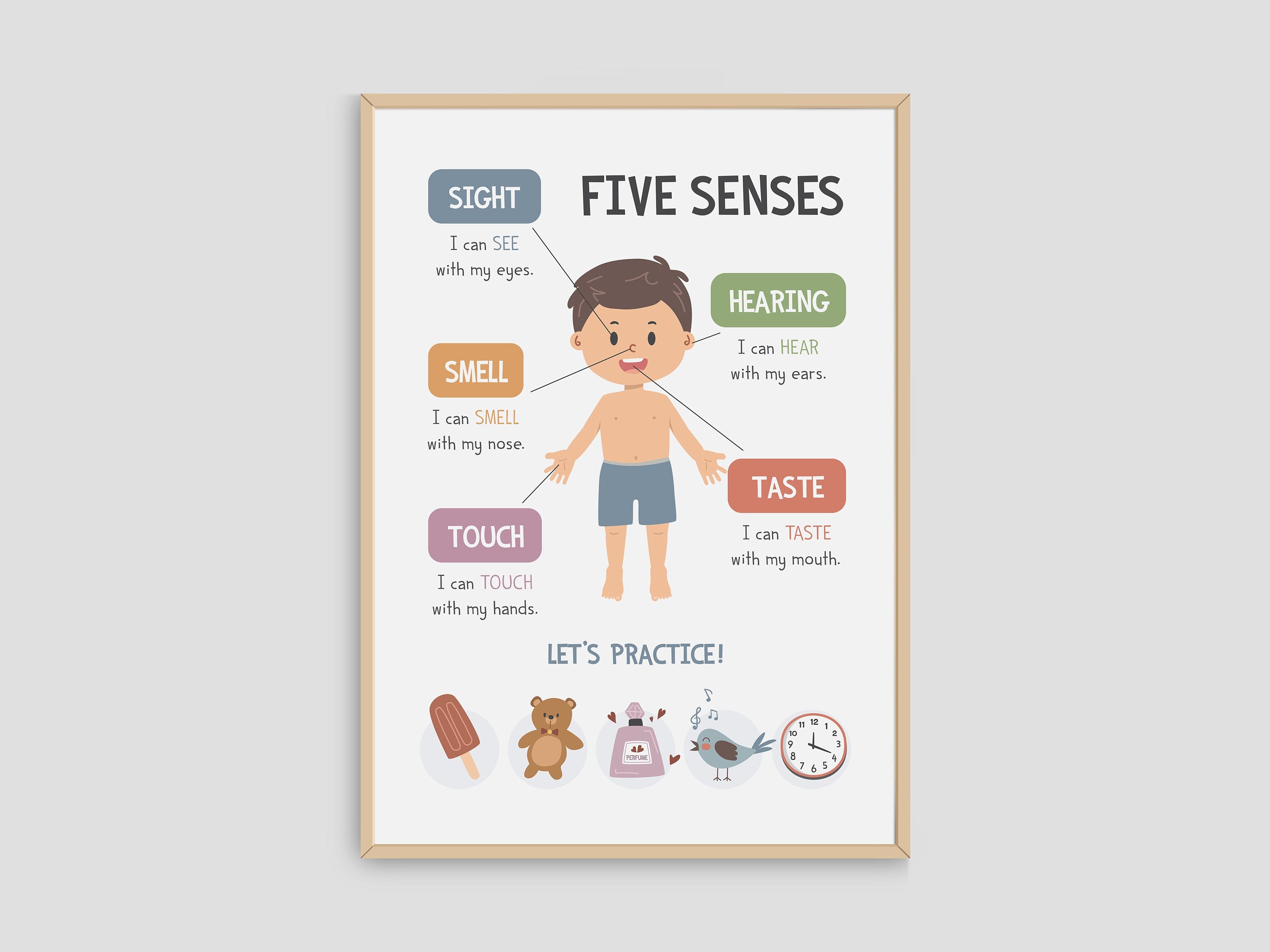 Five Senses Poster, Kids Classroom Decor Wall Art, 5 Senses Printable ...