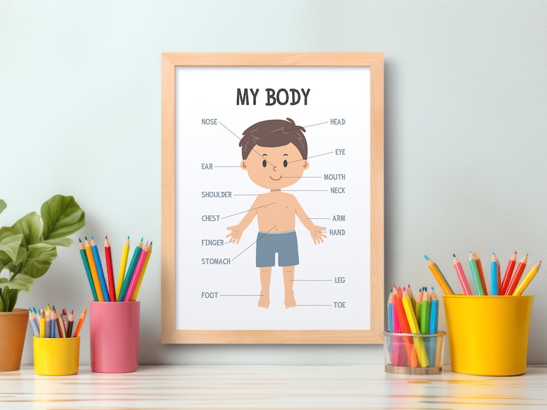 Body Parts Poster: Kids Educational Wall Art (digital Download) - Etsy