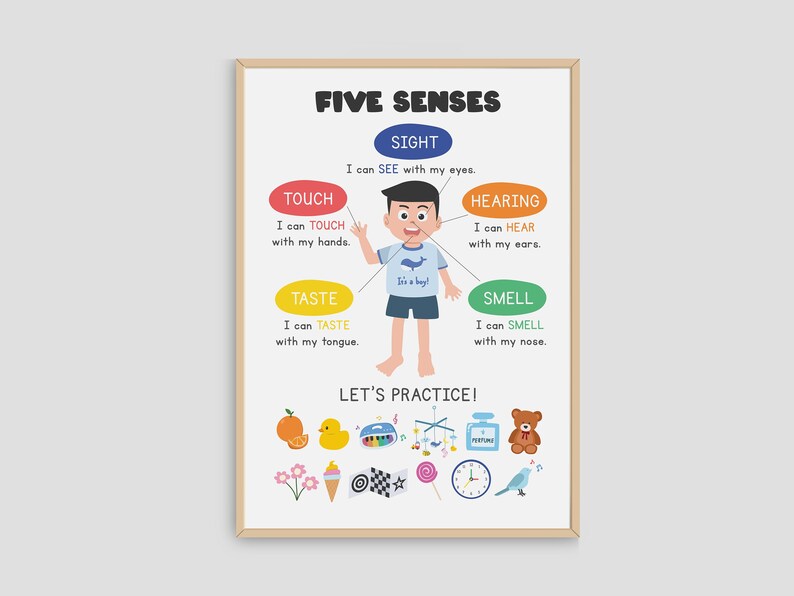 Five Senses Poster: Montessori Homeschool Printable Wall Art (digital ...
