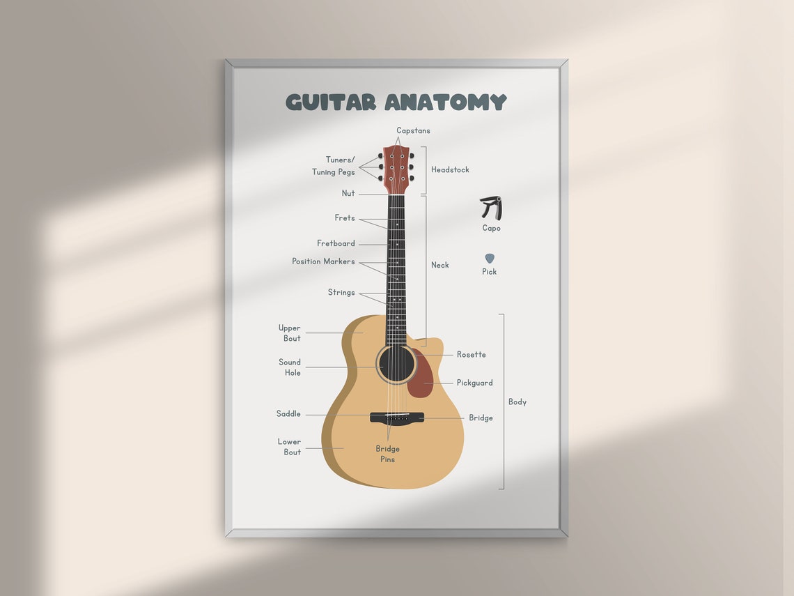Guitar Anatomy Chart: Music Classroom Decor (PDF) - Etsy
