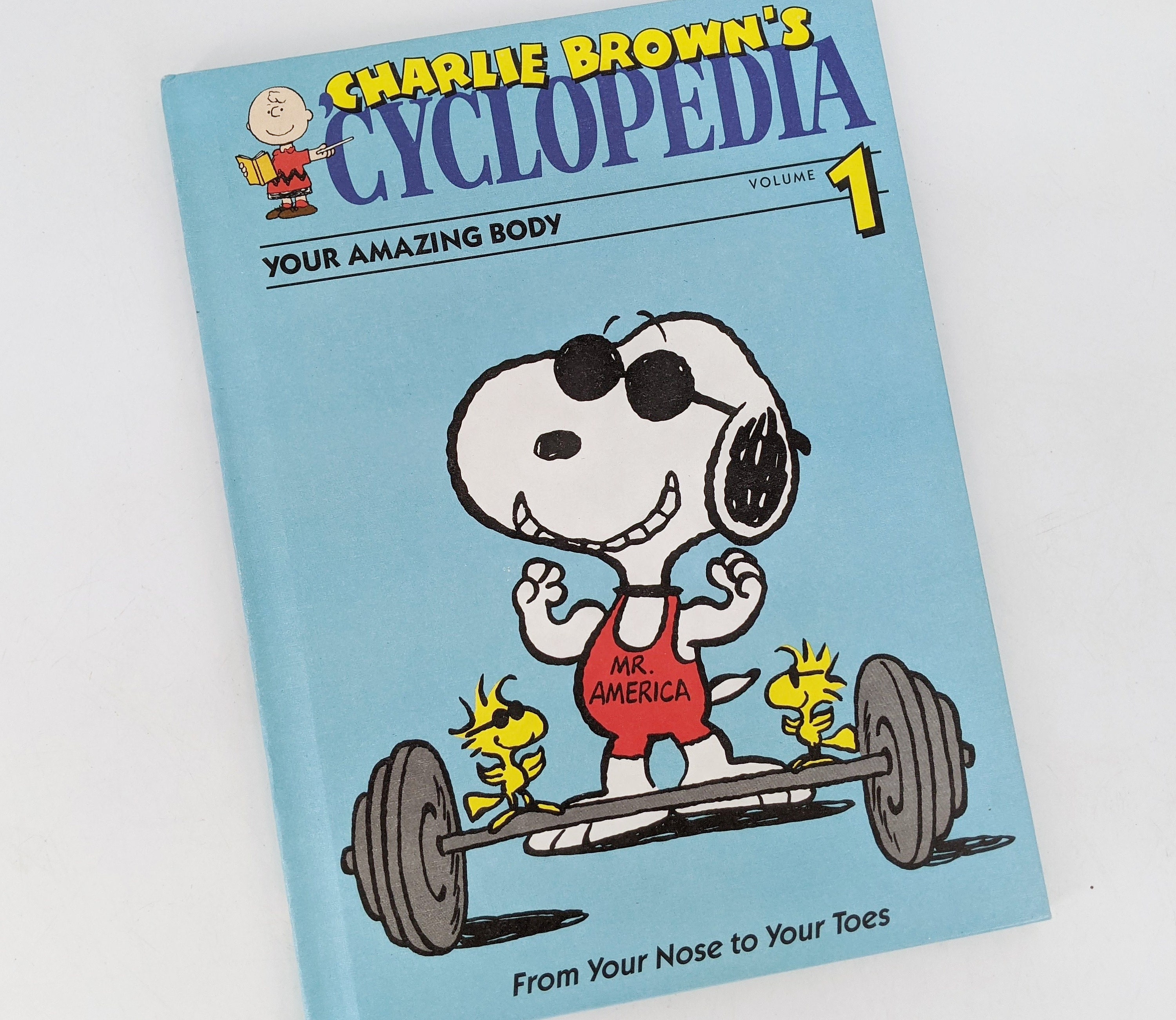 Vintage 1990 Charlie Brown's 'cyclopedia Vol 1 Your Amazing Body ...