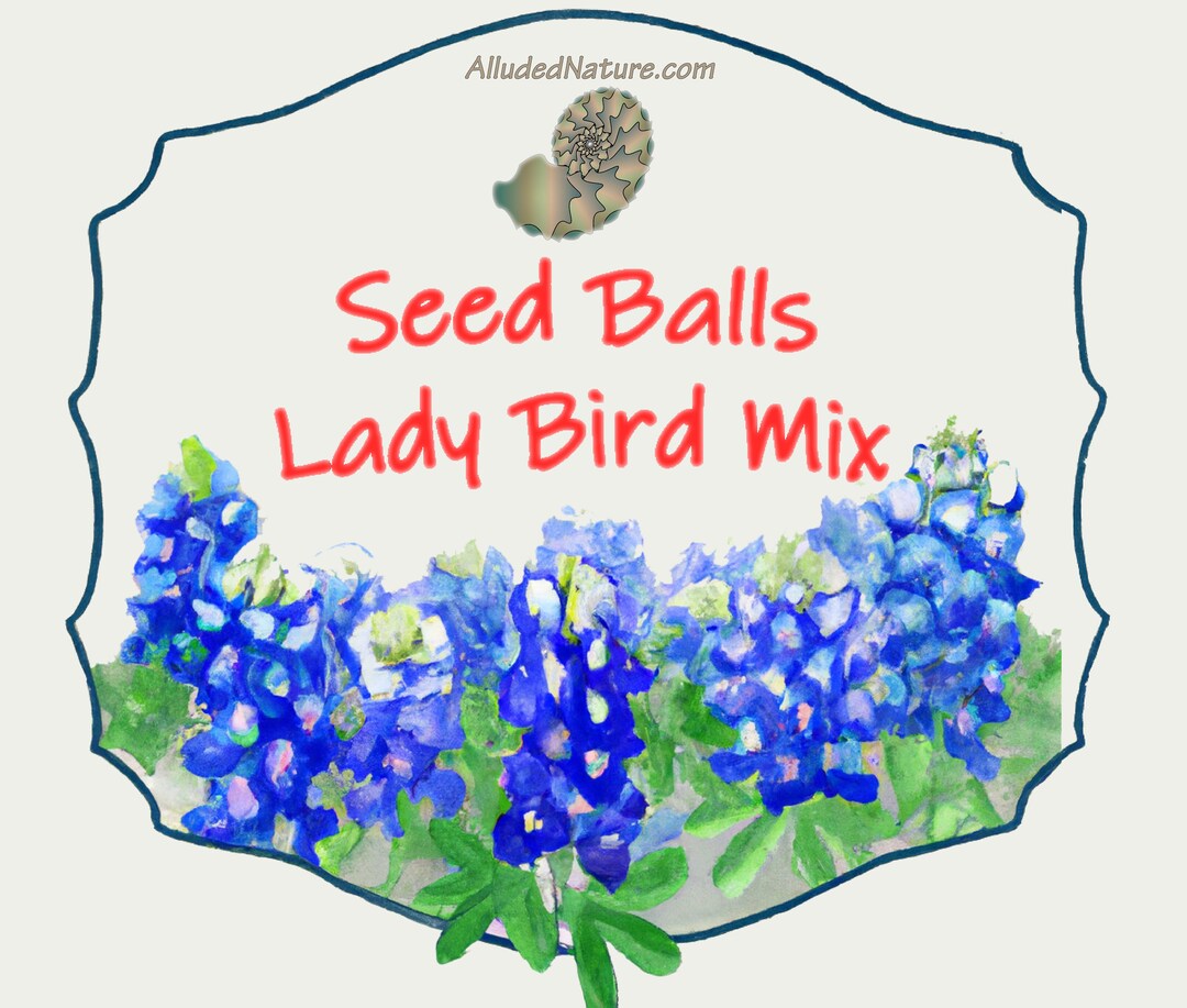 Wild Flower Seed Balls / Bombs Lady Bird Mix Blue Bonnets, Indian ...