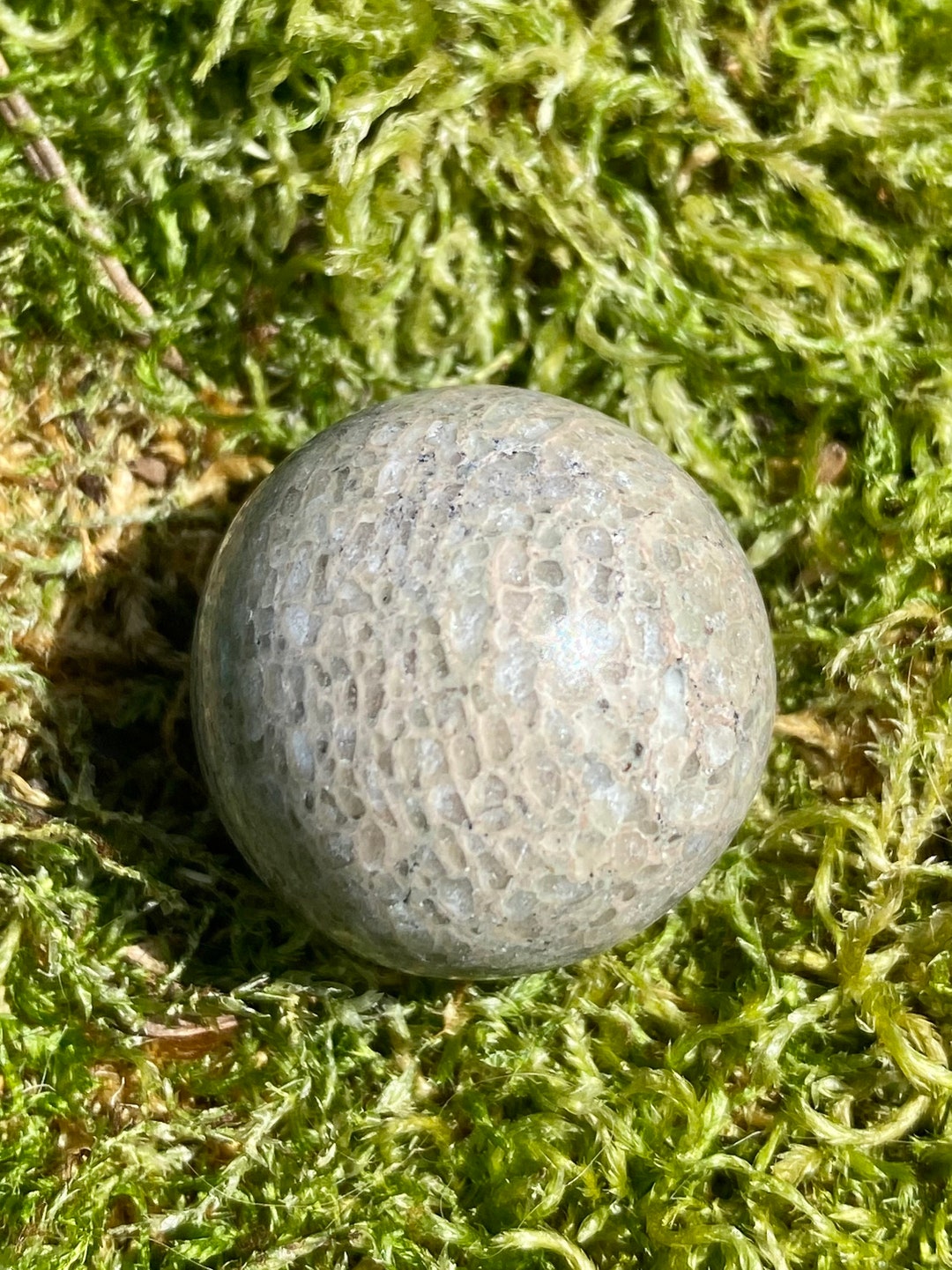 Dino Bone Gem Sphere 12 - Etsy