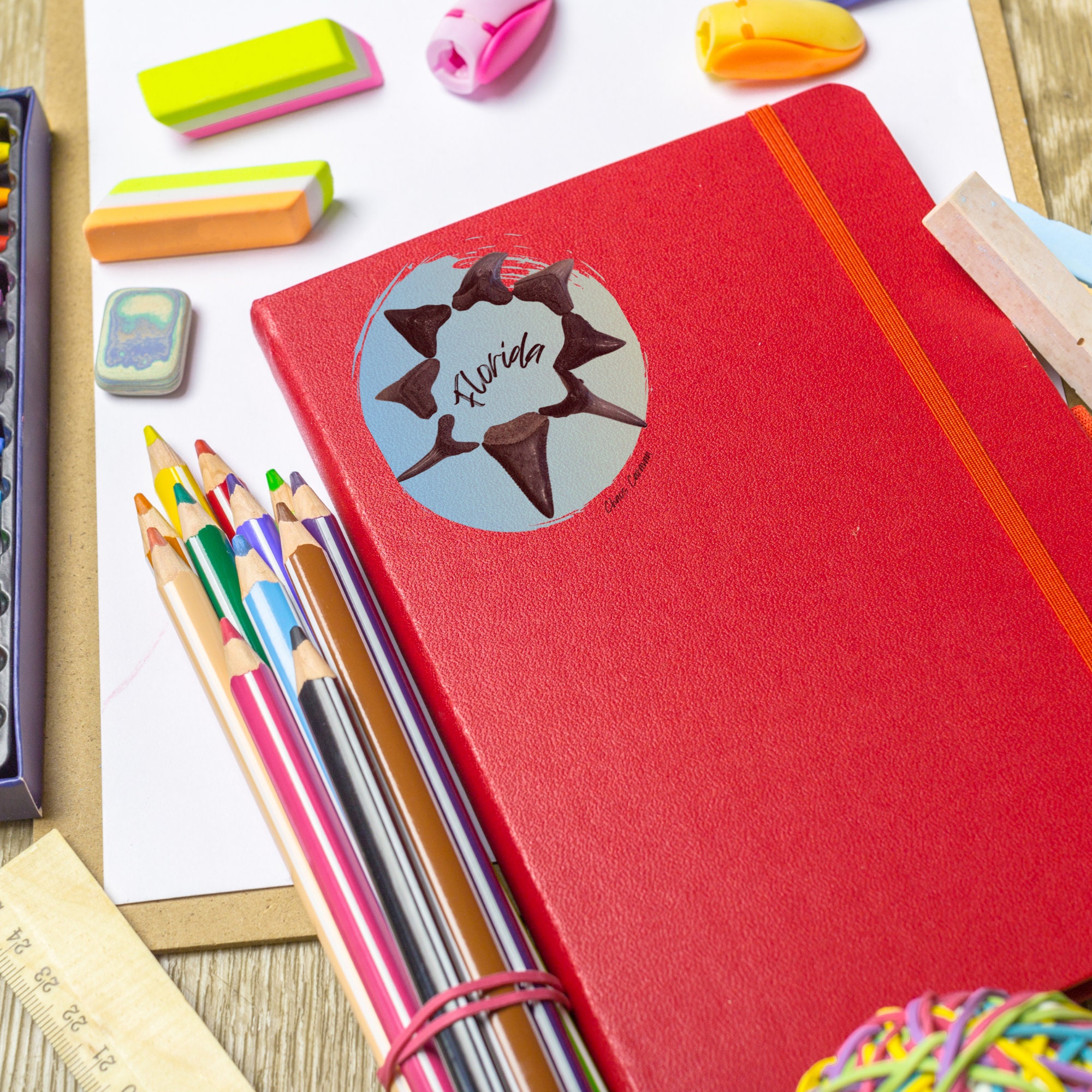 Florida Shark Tooth Fossil Circle on Blue Swirl Sticker| Fossil ...