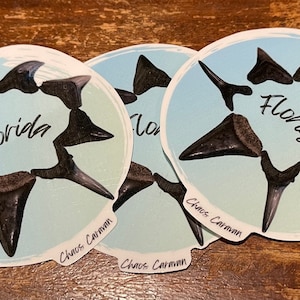 Florida Shark Tooth Fossil Circle on Blue Swirl Sticker| Fossil ...